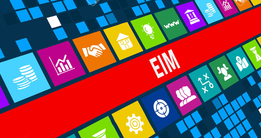 Enterprise Information Management (EIM) and Content Analytics - Avaali ...